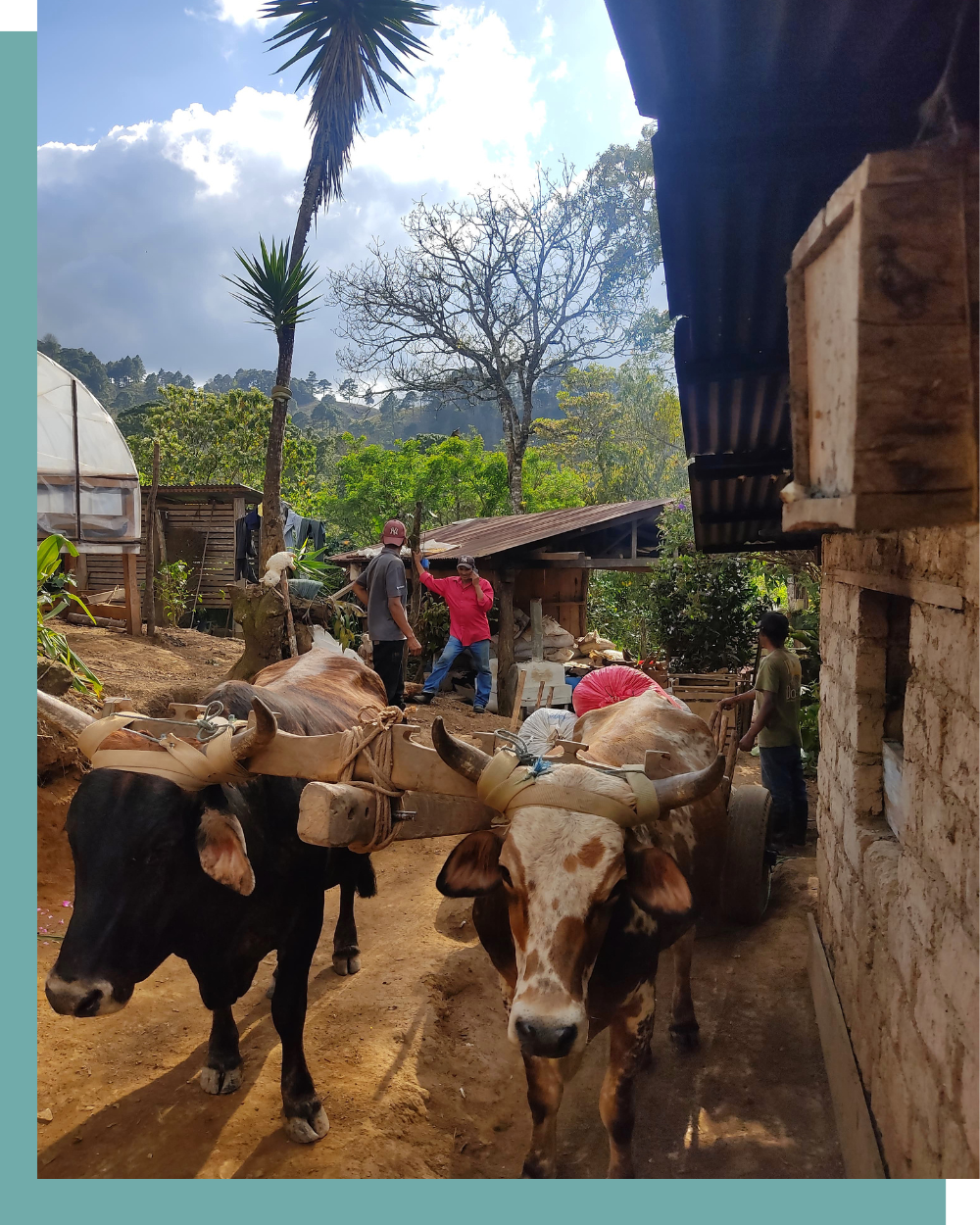 Our Journey – Cereza Coffe